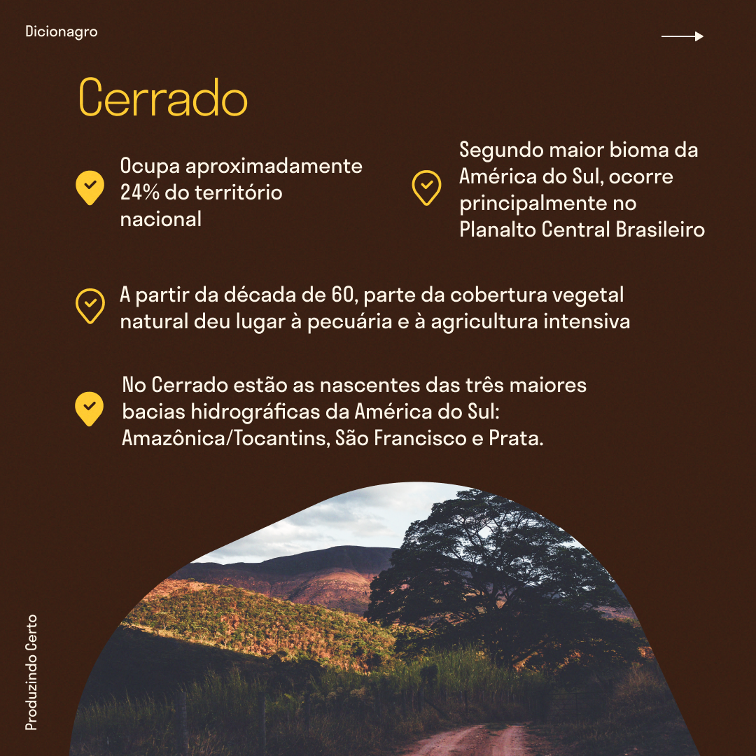 Amazônia, Caatinga, Cerrado... Conheça os biomas que formam o Brasil ...