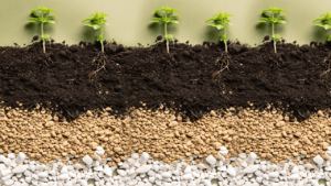 Conheça os principais tipos de solos do Brasil - Produzindo Certo